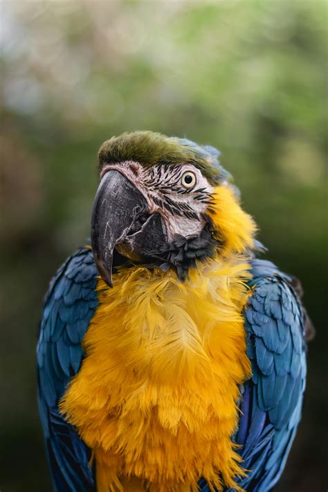 700000 Foto Cewe Cantik Terbaik · Unduh Gratis 100 · Foto Stok Pexels