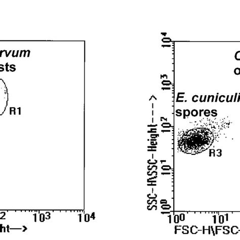 Double Axis Dot Plot Showing Fsc And Ssc Profiles A E Hellem Spores