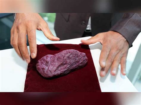Rare 5 010 Carat Ruby Weighing 1 Kg Unveiled In Dubai