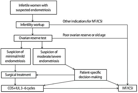 Algorithm For Decision Of Treatment Method IVF In Vitro Download Scientific Diagram
