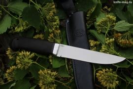 Купить нож Сапсан (рукоять граб), Златоуст, АиР (Россия)
