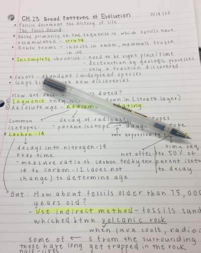 Wrote Some Bio Notes While We Had Free Time In His Tumbex