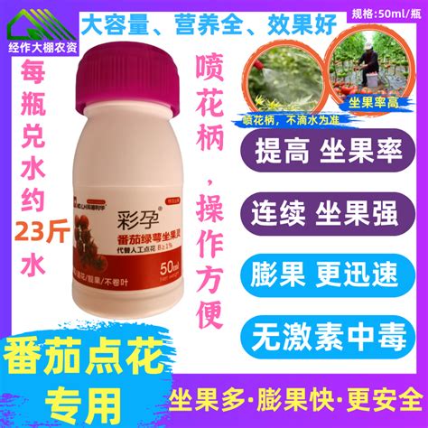 懂种植：阳台种西红柿怎么授粉