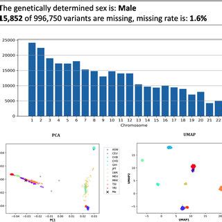 Sample QC Report Of PAGEANT A Genetically Determined Sex And Download Scientific Diagram