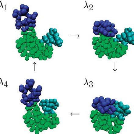 Diffusion Coefficient And Protein Radius Download Table