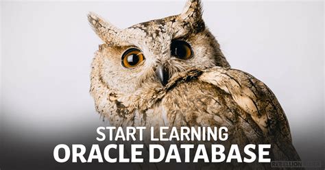 How To Learn Oracle Db Rebellionrider