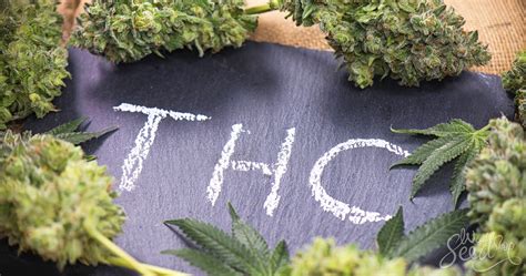 Was ist THC?– Ein Crashkurs - WeedSeedShop