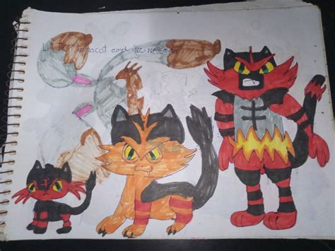 Littens Evolution By Lauryelle On Deviantart