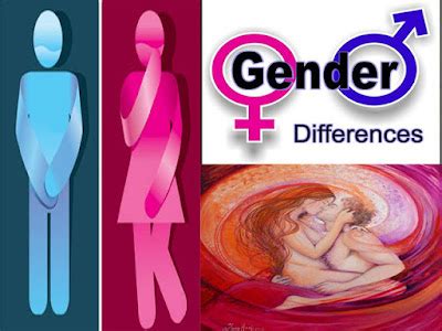 ALL ABOUT THE SEX EDUCATION THE DIFFERENCE BETWEEN MEN AND WOMEN GENDER DISTINTION PHYSICAL