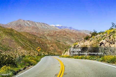 산타로 사와 산 하 신 토 산 국립 기념물 사우스 캘리포니아 사우스 캘리포니아를 통해 첼 라 계곡을 향해 여행 길 옆에서 자라는 야생화 캘리포니아에 대한 스톡 사진 및 기타