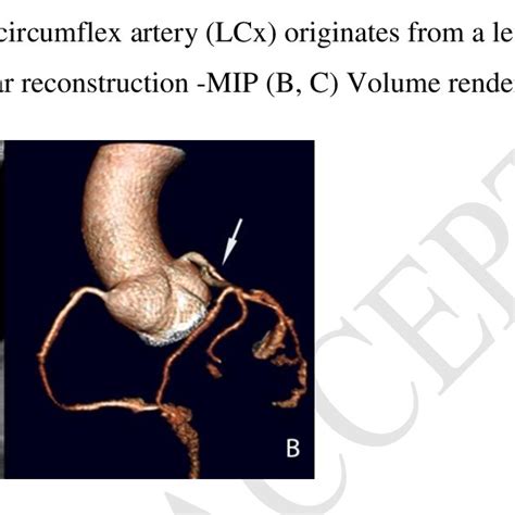 A Maximum Intensity Projection Mip And B3d Volume Rendering Show