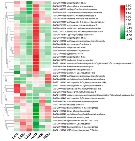 Biochemical And Molecular Insights Into Variation In Sesame Seed Antioxidant Capability As