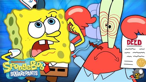 کارتون باب اسفنجی ، گیج شدن آقای خرچنگ فیلو