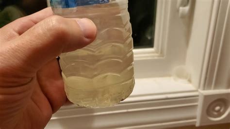 How To Get Rid Of Gnats Nats Naturally Youtube