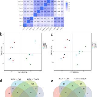 Heat Map Of Correlation Coefficient 12 Samples Principal Component Download Scientific Diagram
