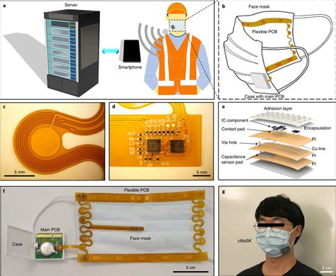 System Overview A Schematic Of The Overall System Developed In This Download Scientific