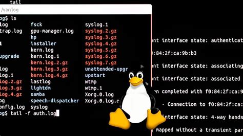 10 razones para empezar a utilizar la línea de comandos en gnu linux