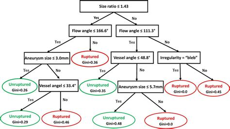 Decision Tree Model For Rupture Risk Assessment Of Anterior Download Scientific Diagram