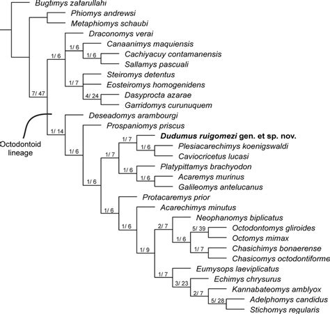 Strict Consensus Of The Two Most Parsimonious Trees Tree Length 381