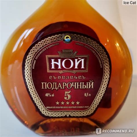 Коньяк Ной Подарочный 5 звёзд - «Коньяк Ной "Подарочный" 5 звёзд. Стоит ...