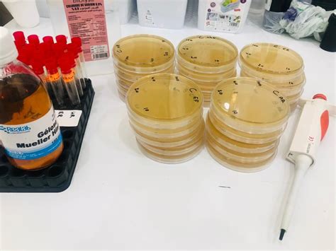 Well Diffusion Method In The Well Diffusion Method Wells Are Created