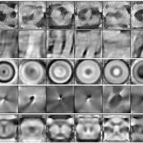 Learned Weights In Absence Of Data Augmentation A And For