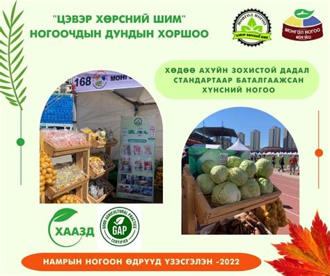 Монгол Ногоо төсөл Mon Vegi Project Home