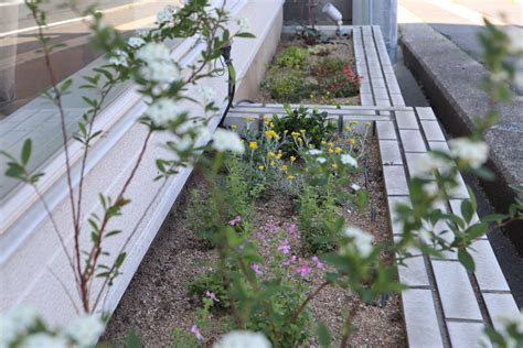 久しぶりに Stock Island