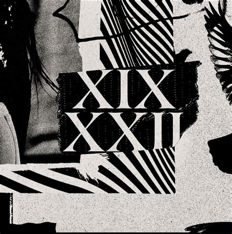 Discover The Chill Factor Your Guide To Terpenes For Anxiety Relief