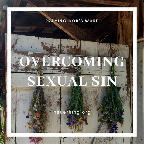 Overcoming Sexual Sin Neue Thing
