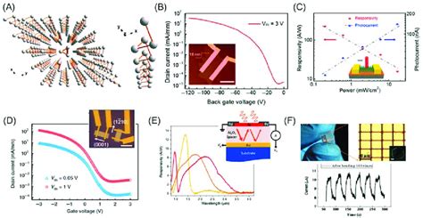 7 A Selenium And Tellurium Crystal Structure Viewed From The X Axis Download Scientific