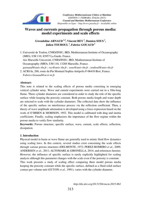 Pdf Waves And Currents Propagation Through Porous Media Model