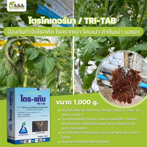 Tri Tab Trichoderma Agri Solutions Asia