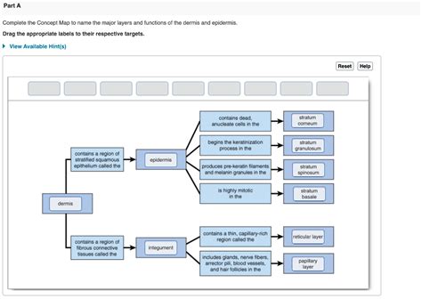 Solved Part A Complete The Concept Map To Name The Major