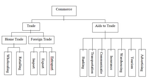 Classwork Exercise And Series Commerce Ss1 Introduction To Commerce