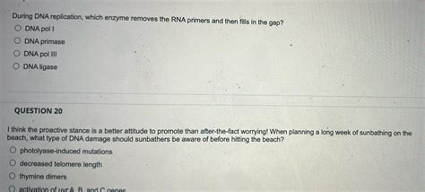 [answered] During Dna Replication Which Enzyme Removes The Rna Primers Kunduz