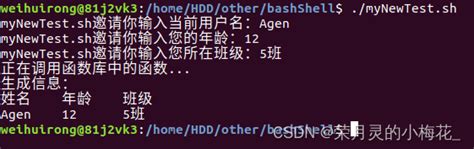 如何写一个shell脚本及其简单语法讲解shell 怎么写 Csdn博客
