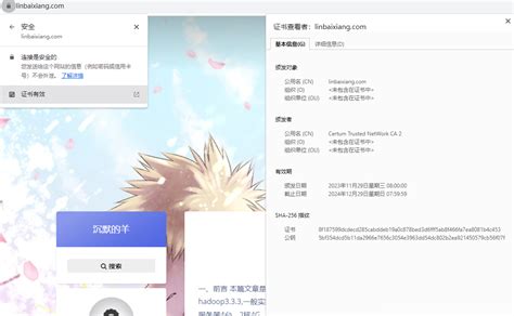 关于服务器免费SSL证书更新及部署 沉默的羊