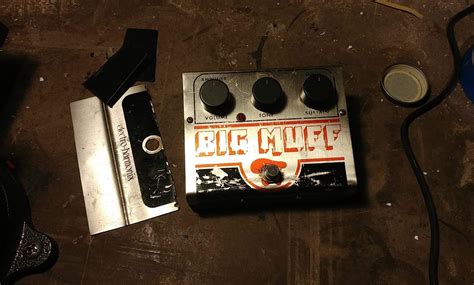 Shaved Muff Rguitarcirclejerk