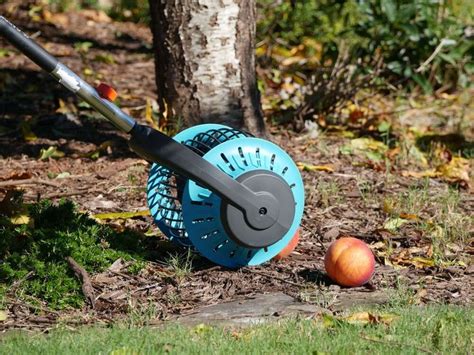 Best Way To Clean Fallen Leaves Leaf Clean Up Yard Cleaning Leaves Clean