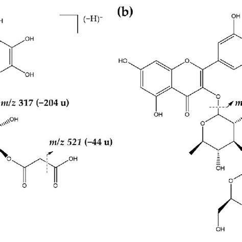 Phenolic And Phenylamide Profile Of Moroccan Bee Pollen Samples The Download Scientific
