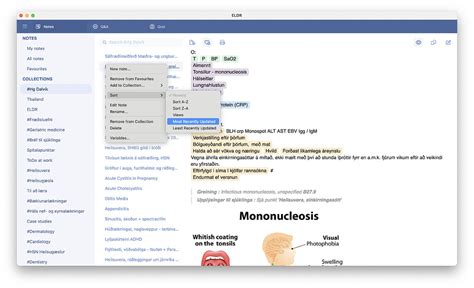 Invitiation To Test A Fulll Blown Xojo App And A Custom Control Framework General Xojo