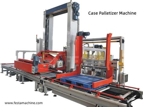 Fdmd 40 Case Palletizer Machine Festa