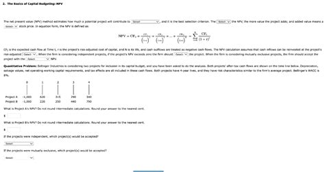 Solved 2 The Basics Of Capital Budgeting Npv The Net