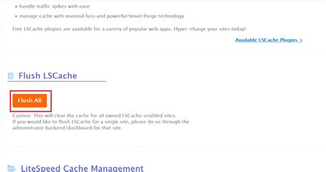 How To Use LiteSpeed Web Cache Manager On CPanel Veeble Hosting
