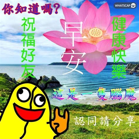 早晨 Whatscap