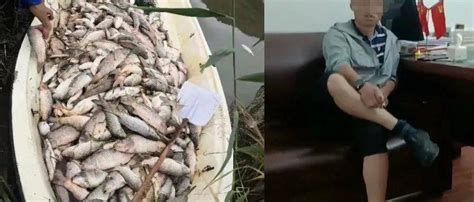 渭南村民反映5万多斤鱼死亡，遭镇干部爆粗口？官方回应大荔县