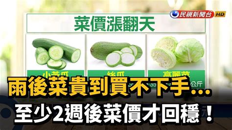 豪雨成災農損嚴重 小黃瓜每公斤飆漲至130元－民視台語新聞 Youtube