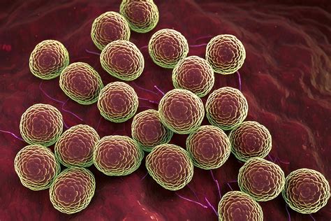 How Long Can Mrsa Survive On A Surface