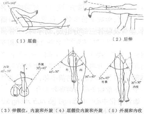 髋关节活动范围 中国骨伤科学 医学